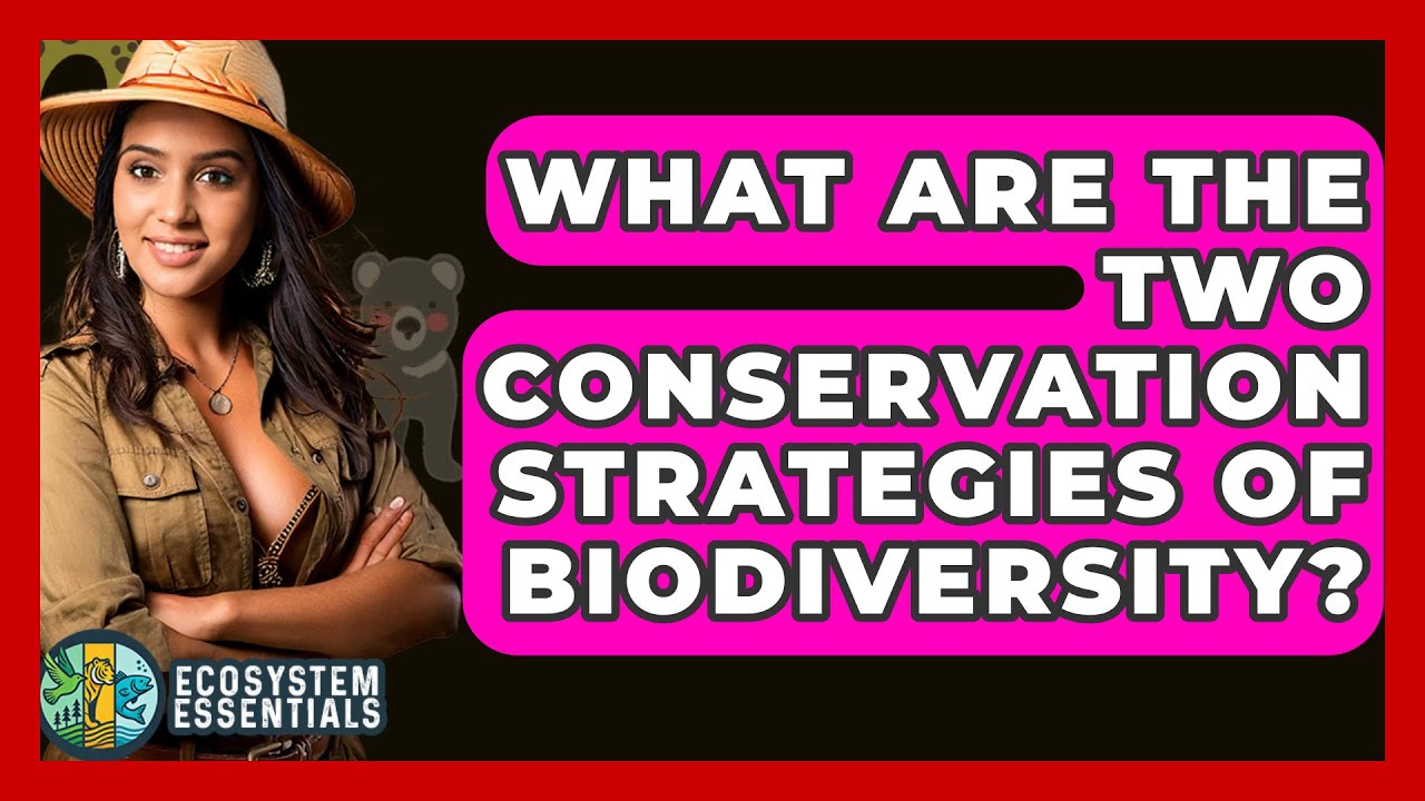 What Are The Two Conservation Strategies Of Biodiversity? - Ecosystem Essentials