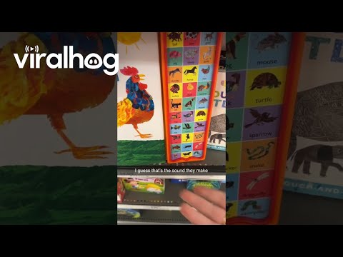 The Sound Caterpillars Make || ViralHog