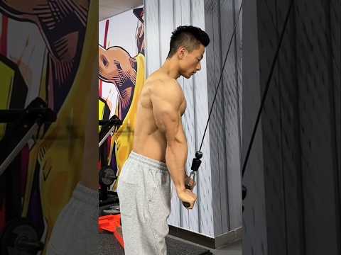 Biceps And Triceps Exercises ForThe Ultimate Arm Workout #fitness #exercise #workout #gym #shorts