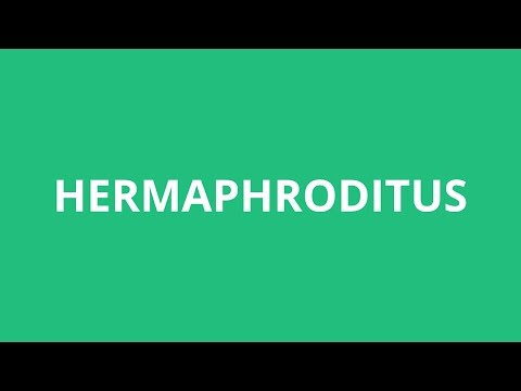 How To Pronounce Hermaphroditus - Pronunciation Academy
