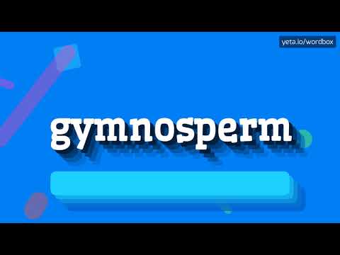 HOW PRONOUNCE GYMNOSPERM! (BEST QUALITY VOICES)