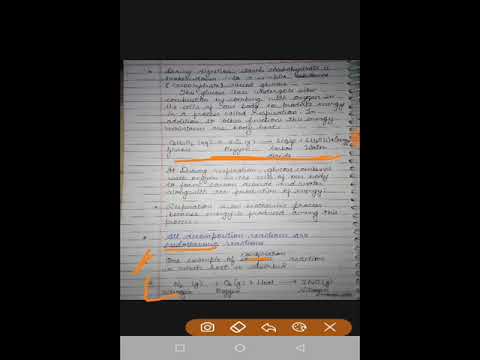 Important Points Of Chemical Reactions and Equations - Class 10 Science - Chapter 1