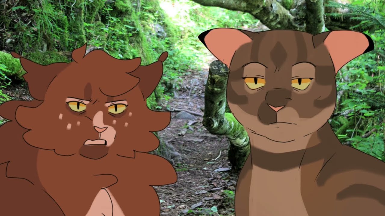 Jayfeather is a modle citizen