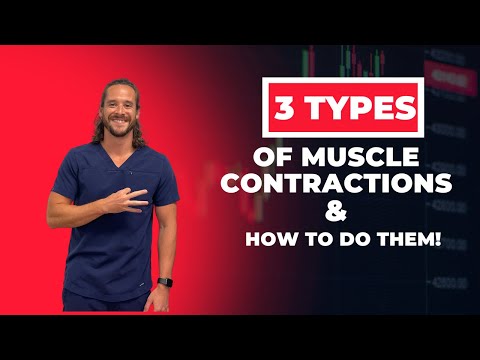 Three Types of Skeletal Muscle Contraction Pros and Cons