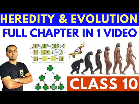 HEREDITY AND EVOLUTION (FULL CHAPTER) CLASS 10 CBSE Video Lecture