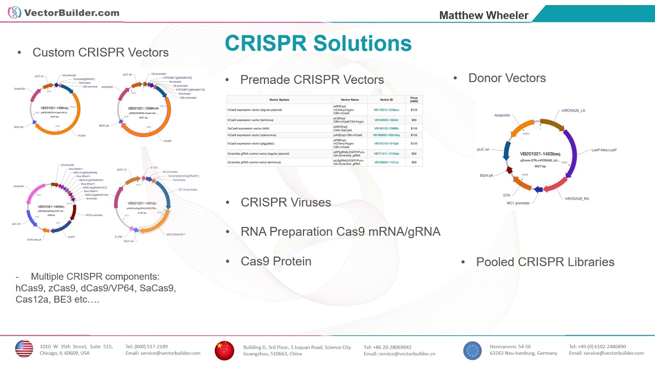 VectorBuilder | #TT2020VIRTUAL - CRISPR Genome Editing Solutions