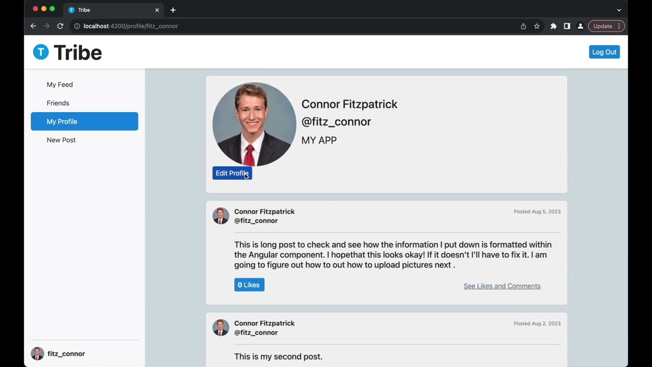 Tribe - A Java Swing and Angular Social Media App