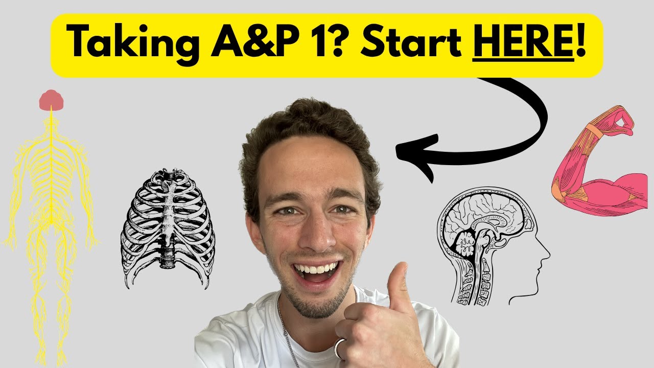 Anatomy & Physiology 1: ENTIRE Course Explained in One Video!