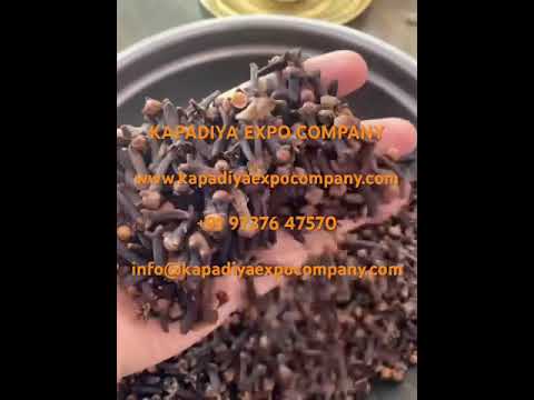 Dry Cloves - Laung Latest Price, Manufacturers & Suppliers