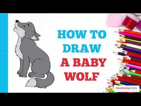 How to Draw a Baby Wolf in a Few Easy Steps: Drawing Tutorial for Beginner Artists