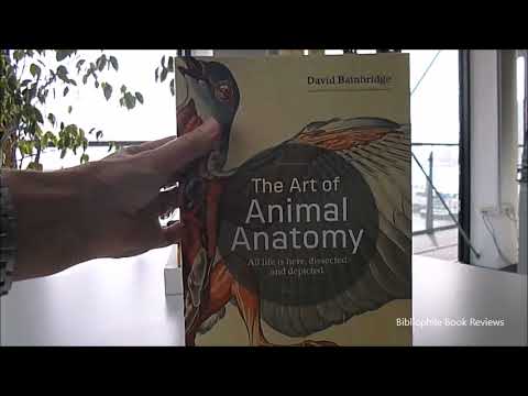 Art of Animal Anatomy