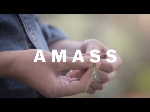 AMASS Brands | We Believe In The Power Of Plants