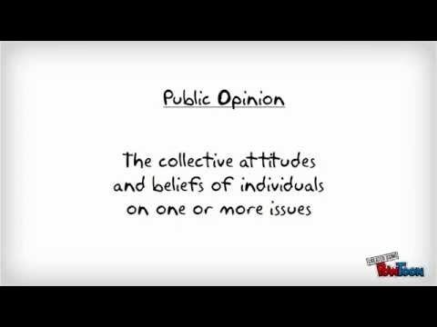 Public Opinion - AP US Government