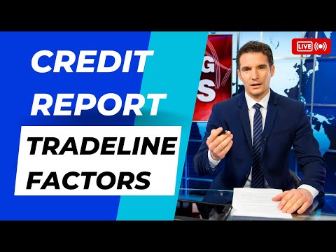 Credit report tradeline factors
