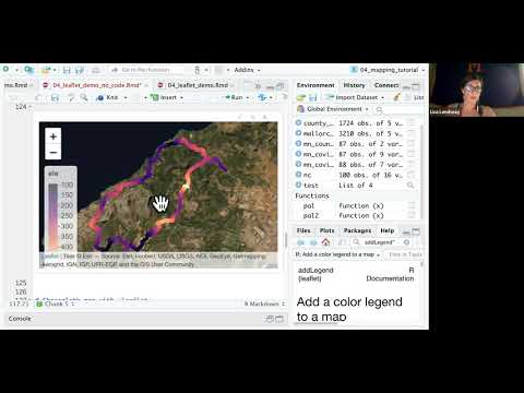 Mapping in R with leaflet demo
