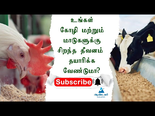 Mara Chekku - Marachekku Wooden Oil Extraction Machine Manufacturer ...