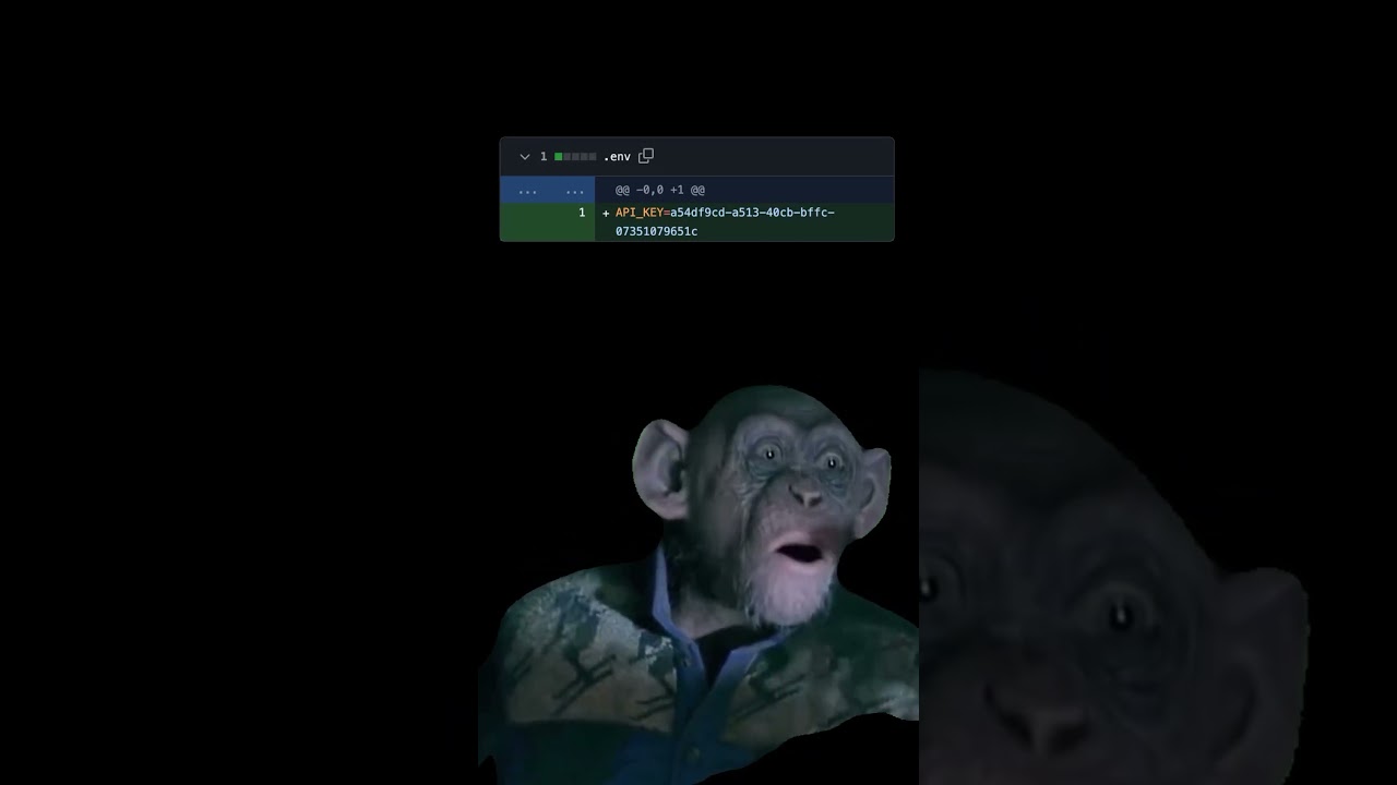 OUR API KEY #developer #dev #programmer #programming #git #github #개발자 #개발 #밈 #깃허브 #깃