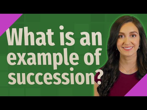 What is an example of succession?