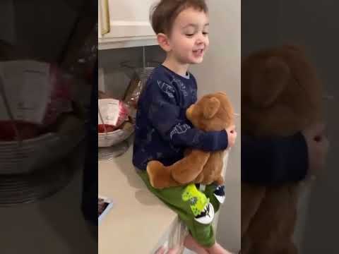 Meet Smart Teddy!