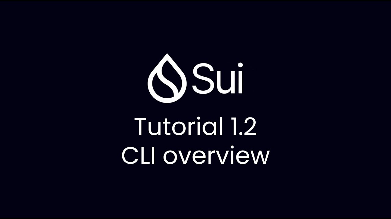 Sui Blockchain Tutorial 1.2 CLI overview