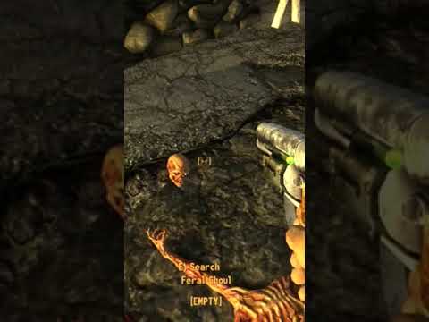 Steam Community :: Fallout: New Vegas