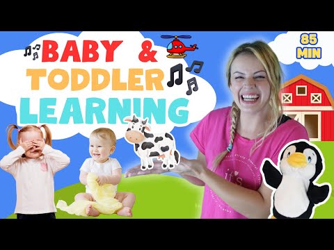 Learn Animal Names & Sounds, First Words, Gestures + Nursery Rhymes Toddler Learning with Miss Katie