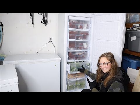 NEW AT COSTCO! Hamilton Beach 11 cu. ft. Upright Freezer with Drawer Organization