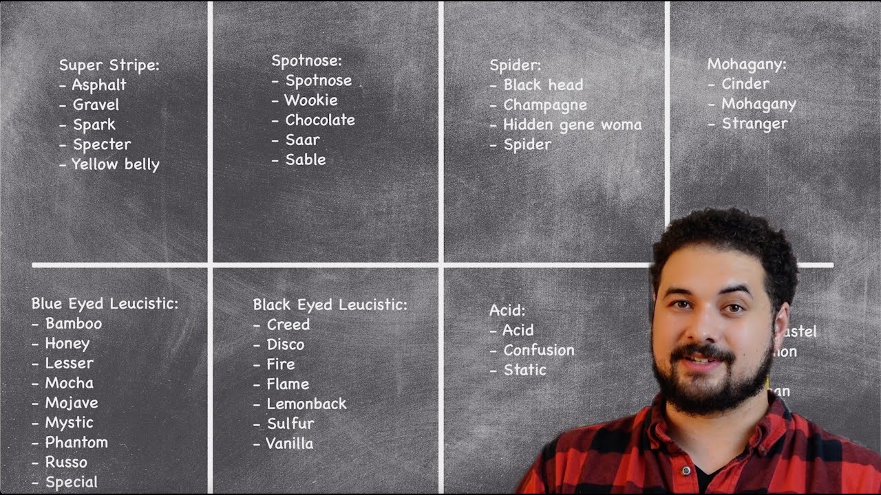 Allelic Complexes - Ball Python Genetics