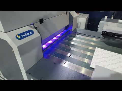 Foiling Machine at Best Price in India