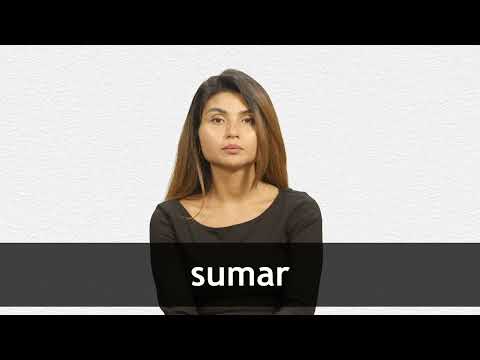 Traducción en inglés de “SUMAR” | Collins Diccionario español-inglés