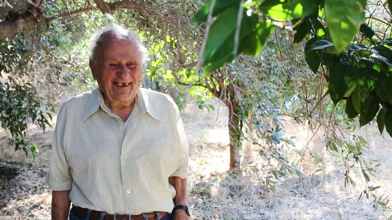 Blue Zones Project Jacksonville