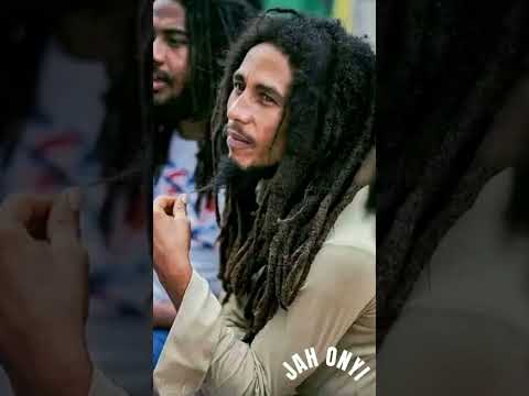 Bob Marley _ Meaning of the song Lick Samba #shorts
