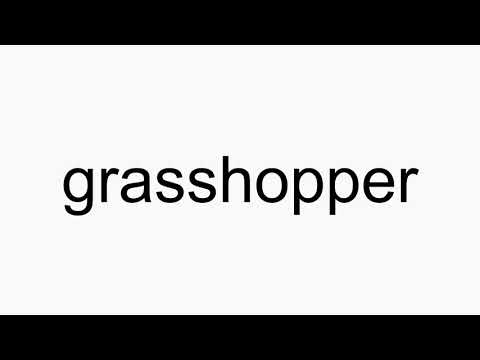 How to pronounce grasshopper