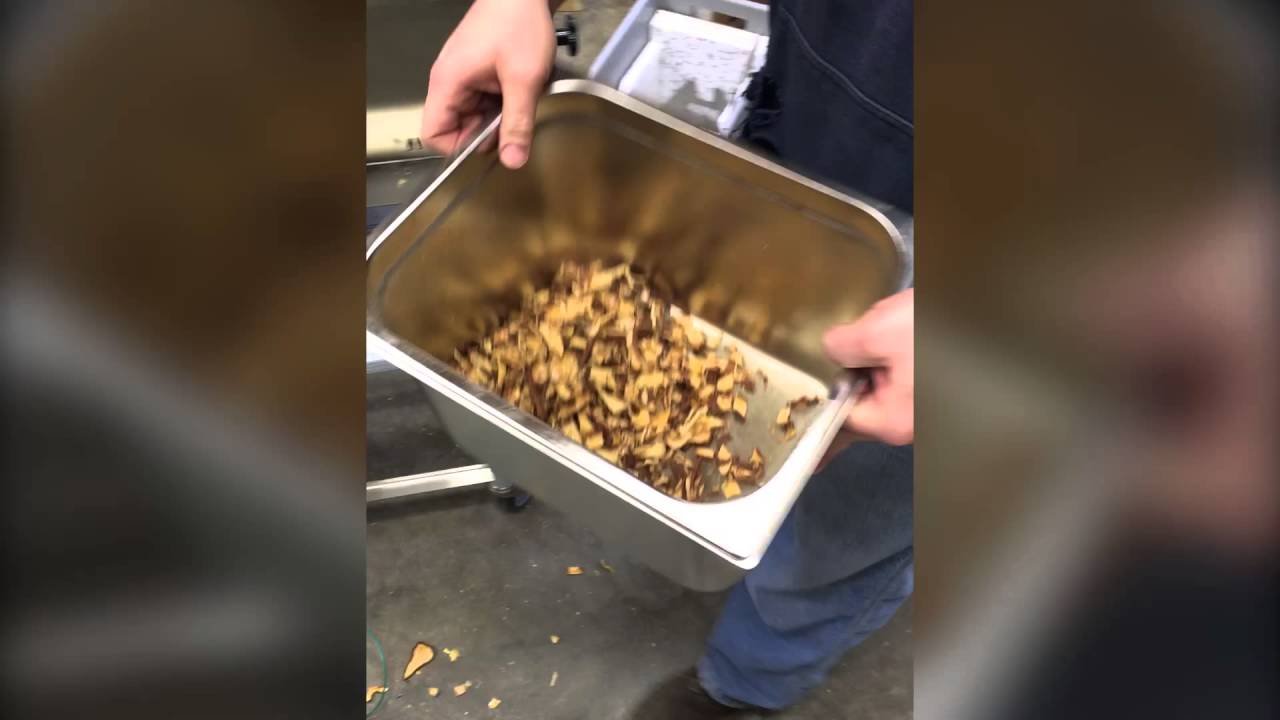 FS-19 Slicer Slicing Dehydrated Pears