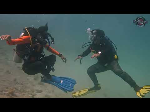 SSI OWD Course | Batch 12 | Tenggol Island | 2nd Confined Water Dive Skills | 17th Aug 2024