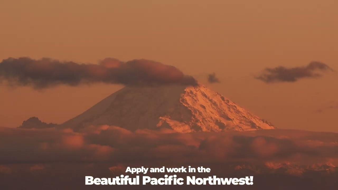 DAJD – JDO Recruitment Video