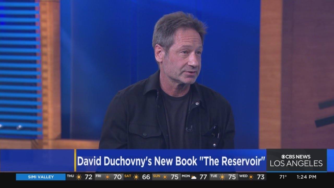 David Duchovny Releases New Book, "The Reservoir - book-news.org