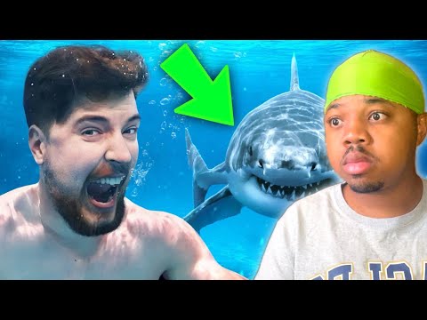 Leek Dior Reacts To Man Swims With Sharks For $100,000…Wow????