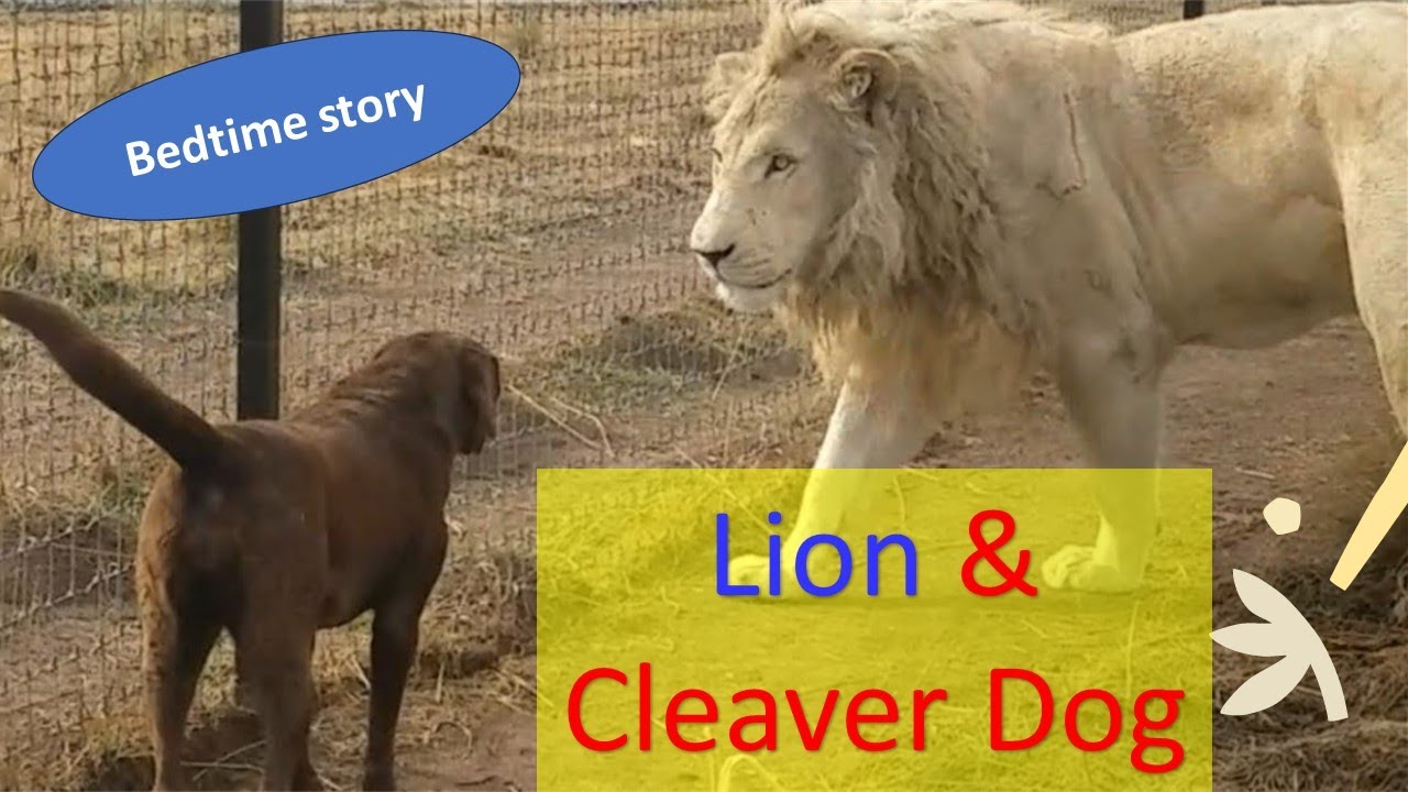 The Clever Dog and the Foolish Lion | Short Story #mastershivansh