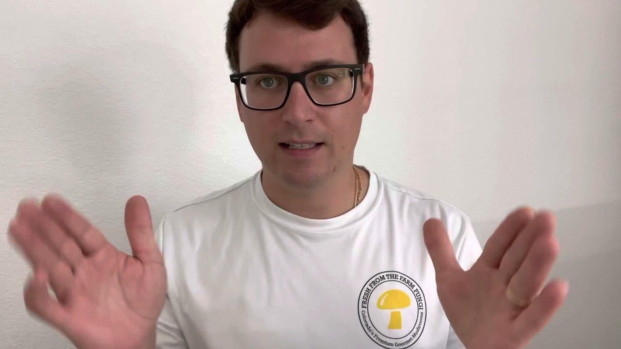 Genetics in mycology explained: The phylogeny dilemma of mushrooms