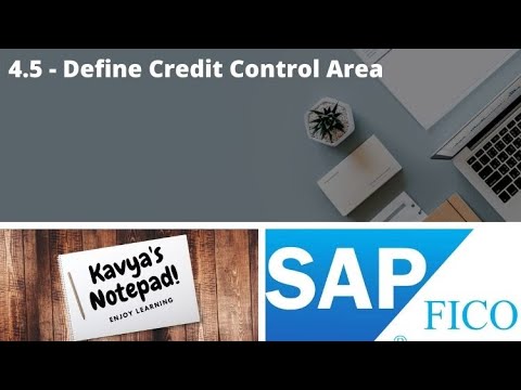 4.5 - Define Credit Control Area - SAP FICO