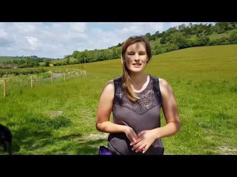 Learn how to identify wildflowers on chalk grassland with Emily Sabin
