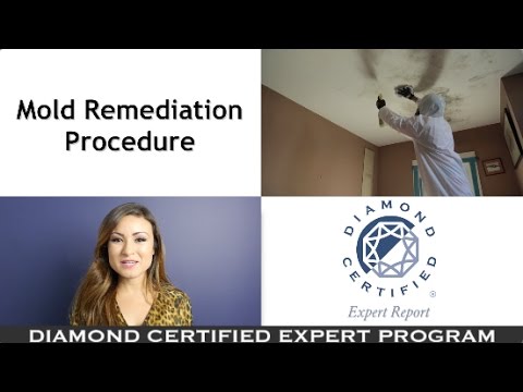 Diamond Certified Experts: Mold Remediation Procedure