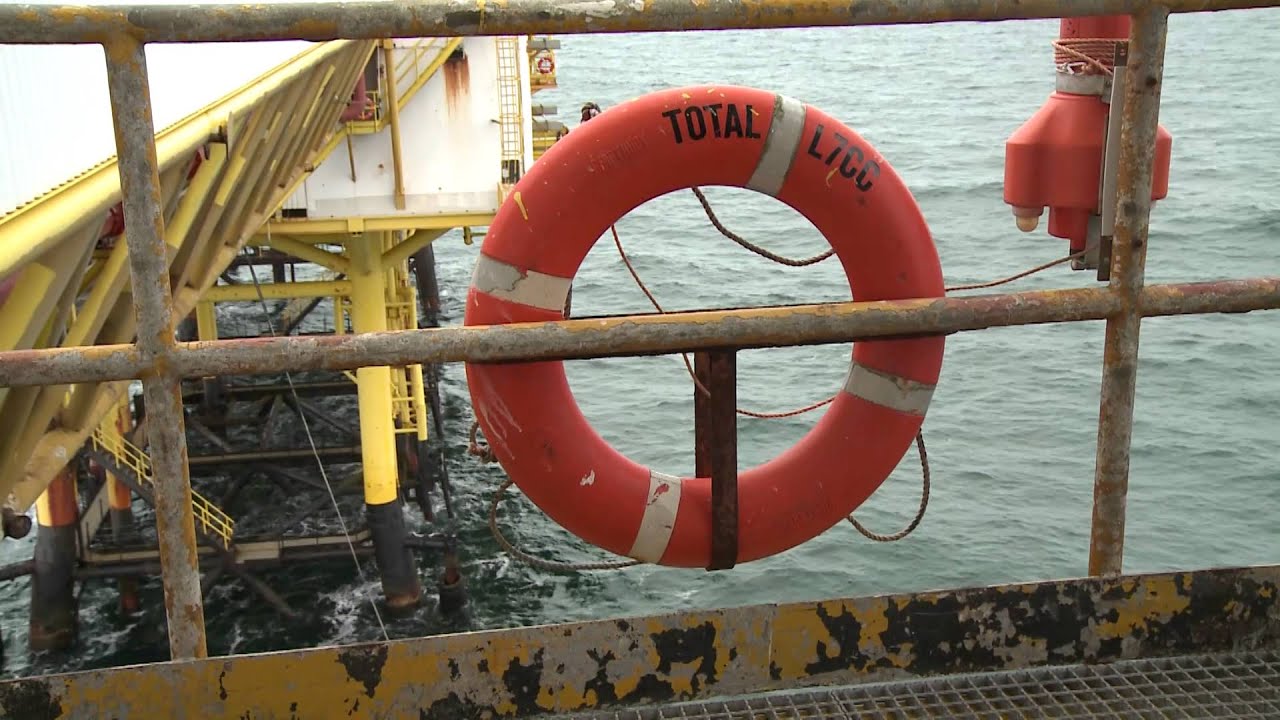 Typically Vector Maintenance Management