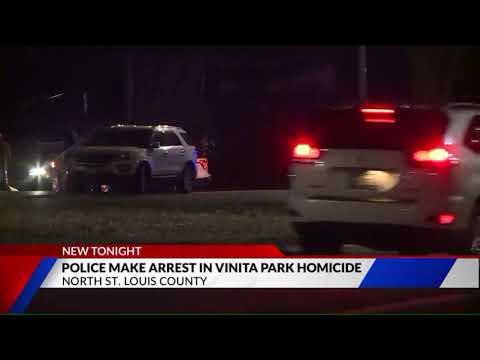 Murder suspect taken into custody