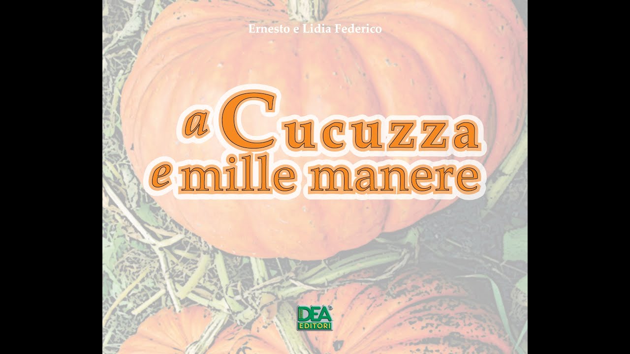 12 Zucca fritta