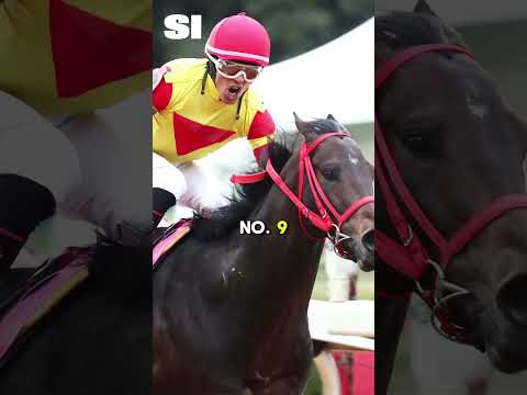 Craziest Kentucky Derby Horses Names! 👀