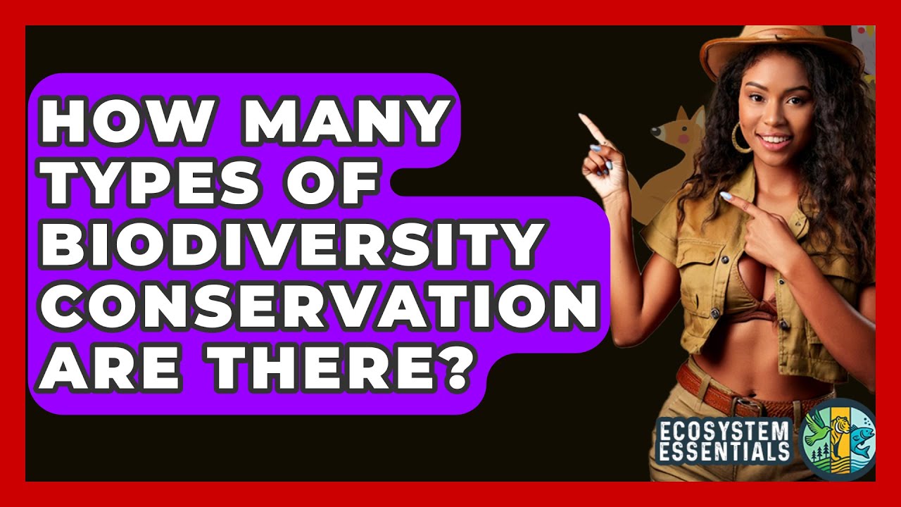 How Many Types Of Biodiversity Conservation Are There? - Ecosystem Essentials