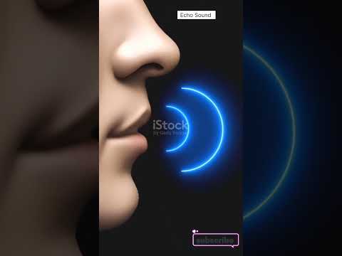 आवाज़ गूंजती क्यों है Echo कैसे आती है? Echo Sound Explained #facts