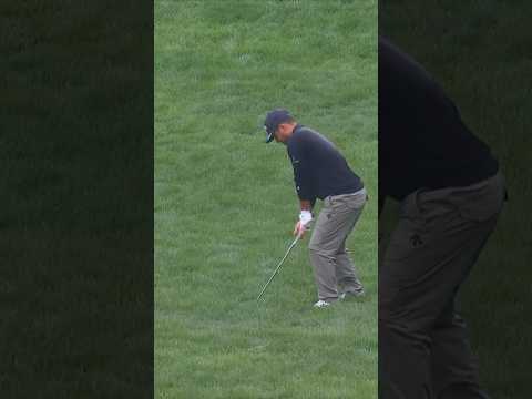 'That's not supposed to happen from there' ⛳